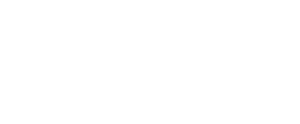 Wind Mitigation Inspection